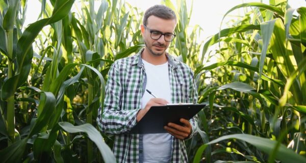 ¿Qué es la Potasa y para qué Sirve? - Orang Growth